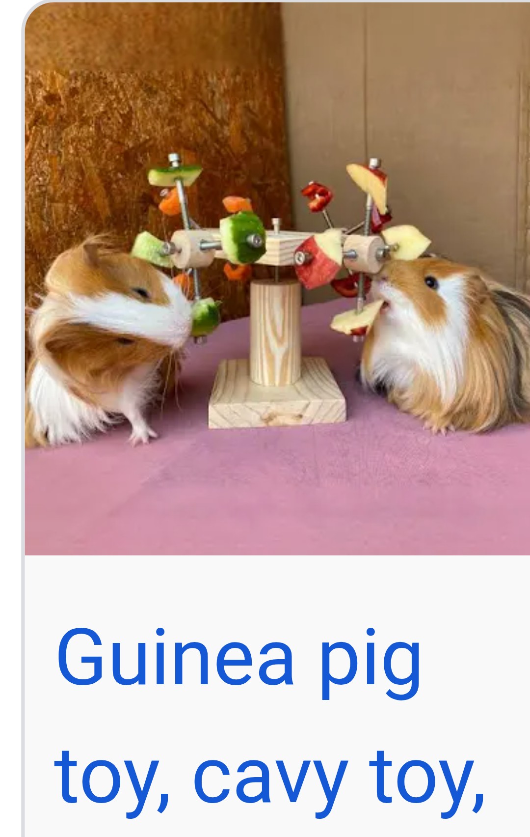 #89. Fun Gifts for Your Guinea Pig – Echoing Great Pet Care